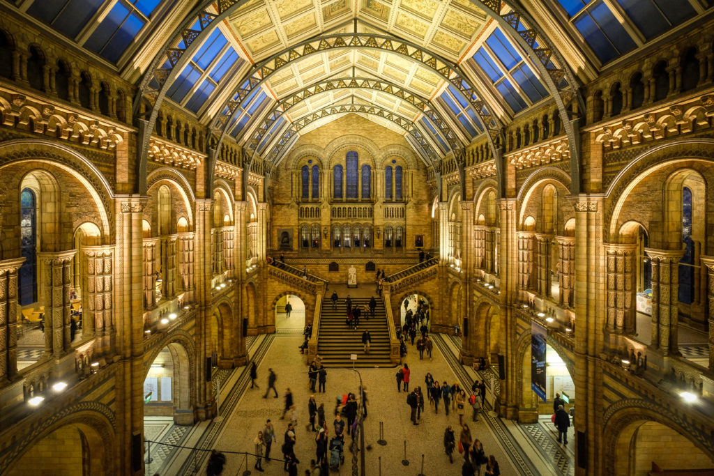 Entdecken sie Londons berühmteste Museen und Galerien - Der Museumsblog